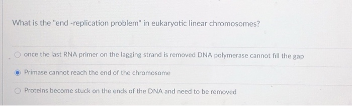 Solved What is the "end -replication problem" in eukaryotic | Chegg.com