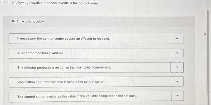 Solved Put the following negative feedback events in the | Chegg.com