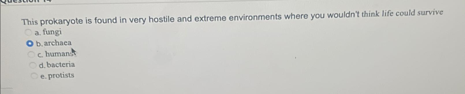 Solved This prokaryote is found in very hostile and extreme | Chegg.com