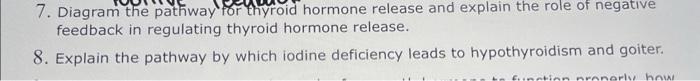 Solved 7. Diagram the pathway for thyroid hormone release | Chegg.com