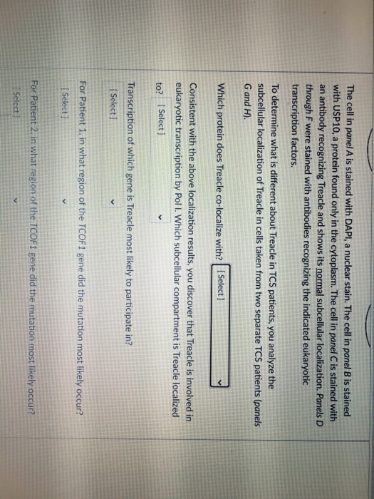 Solved Treacher Collins-Franceschetti syndrome (TCS) is a | Chegg.com