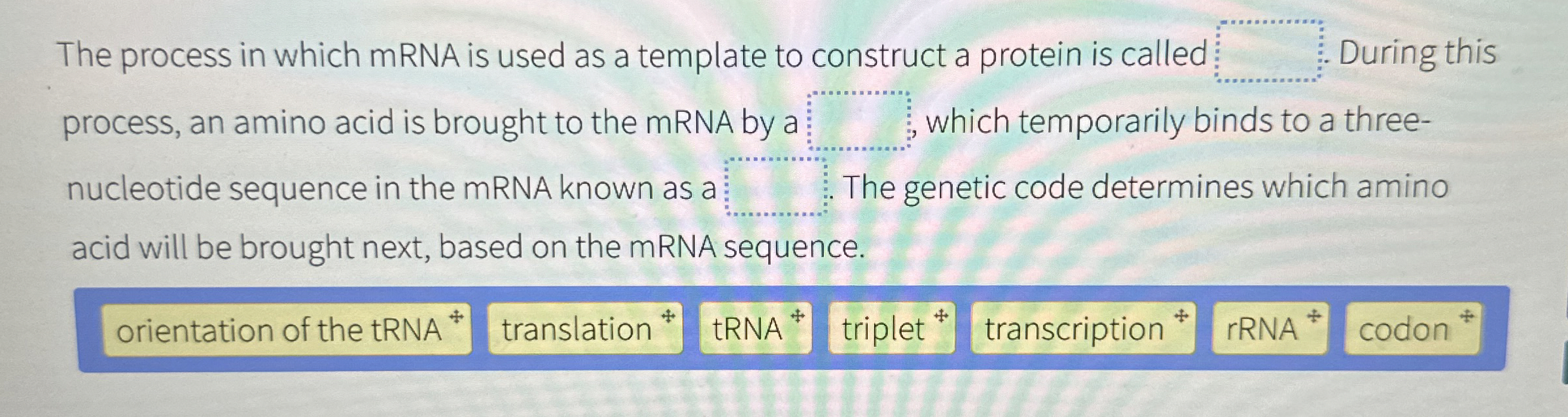 Solved The process in which mRNA is used as a template to | Chegg.com