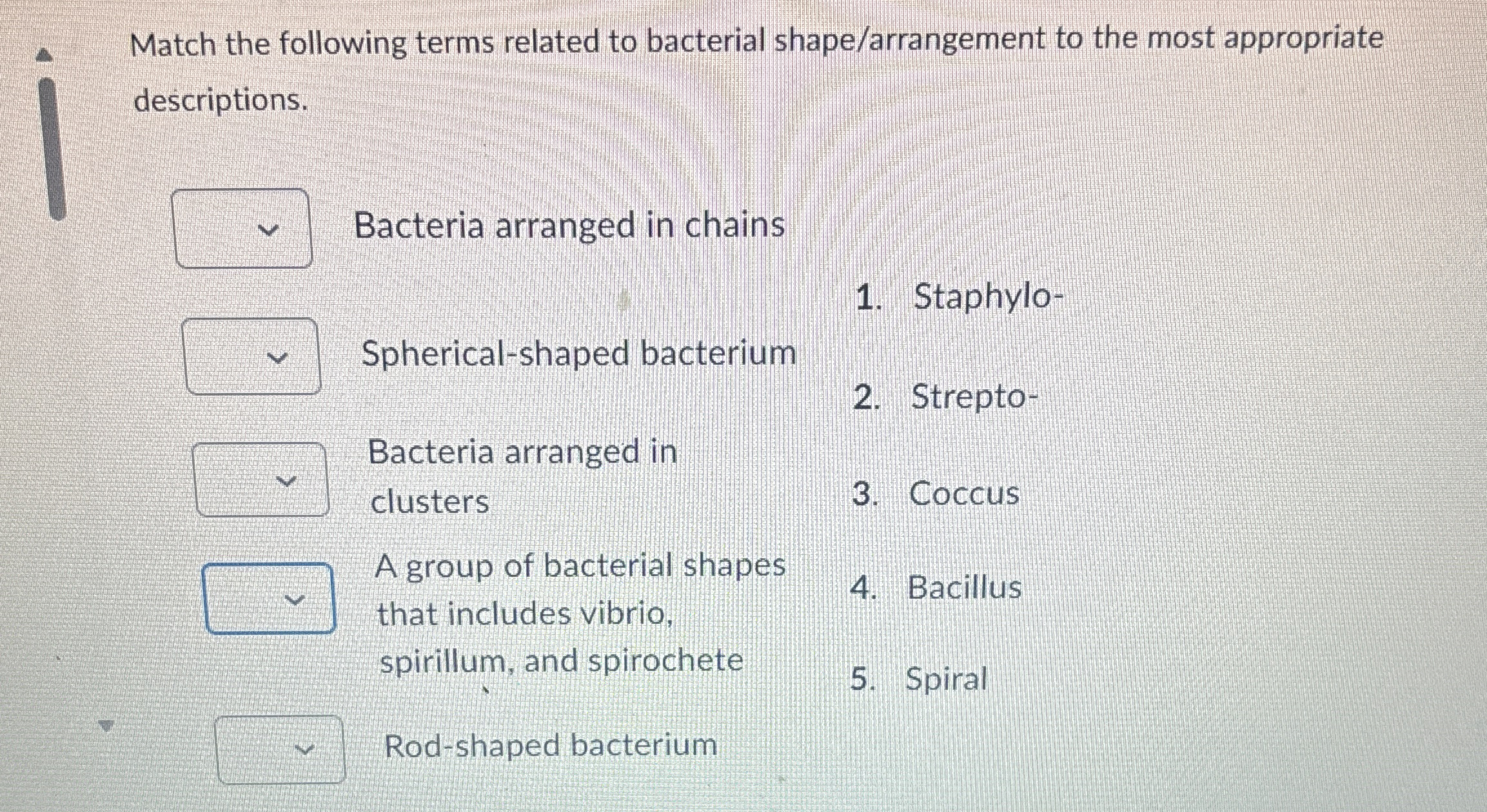 Solved Match the following terms related to bacterial | Chegg.com