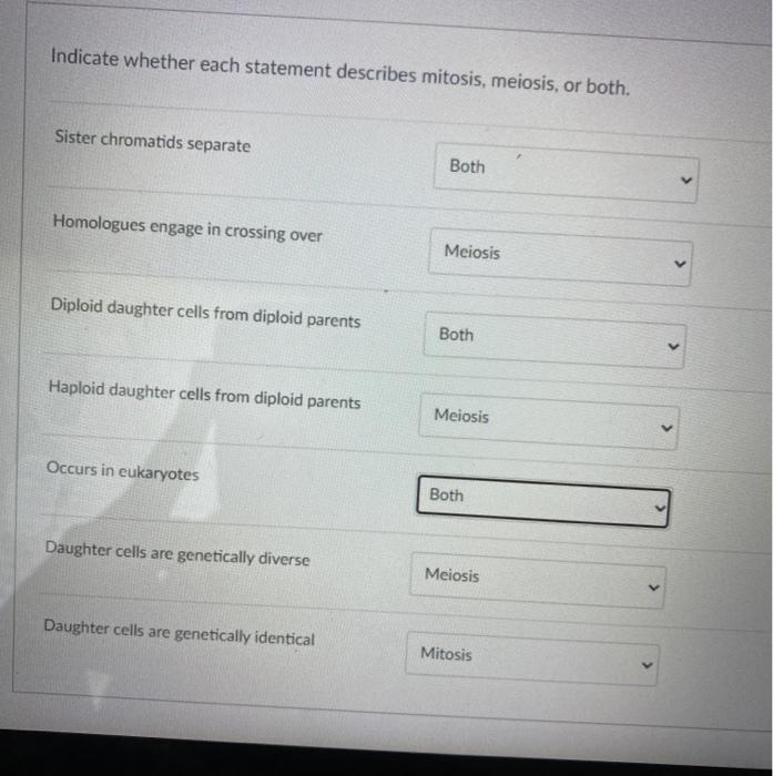 Solved Indicate whether each statement describes mitosis, | Chegg.com