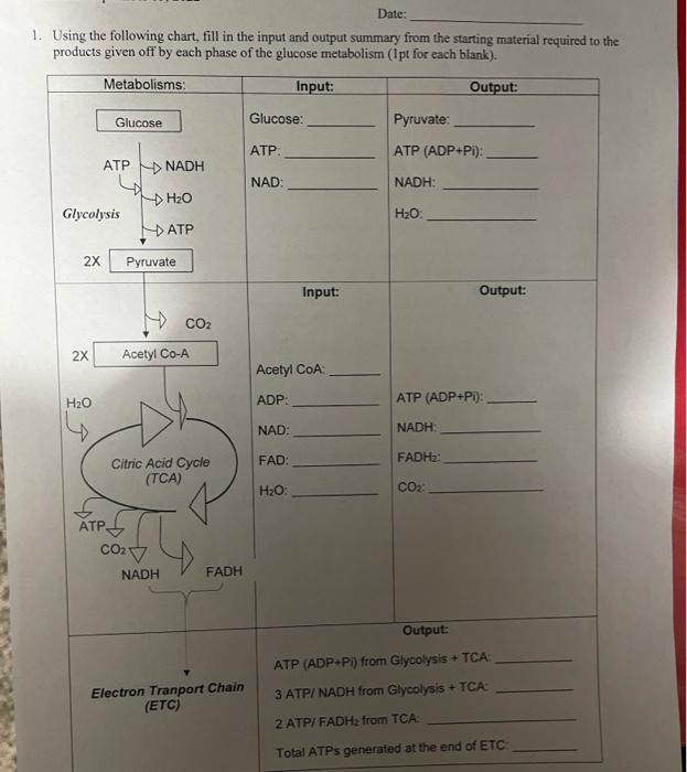 Date: 1. Using the following chart, fill in the input | Chegg.com