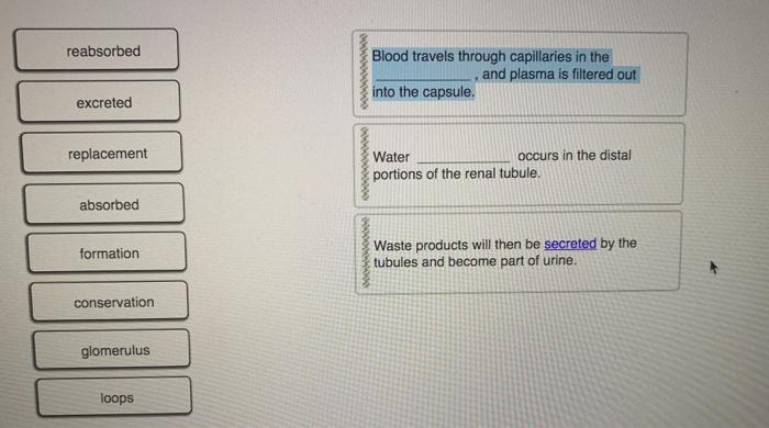 Solved Place a single word into each sentence to make it | Chegg.com
