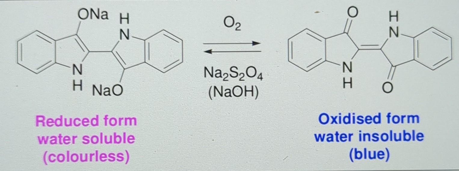 Solved Experiment: Synthesis of Indigo and its use as a Dye | Chegg.com