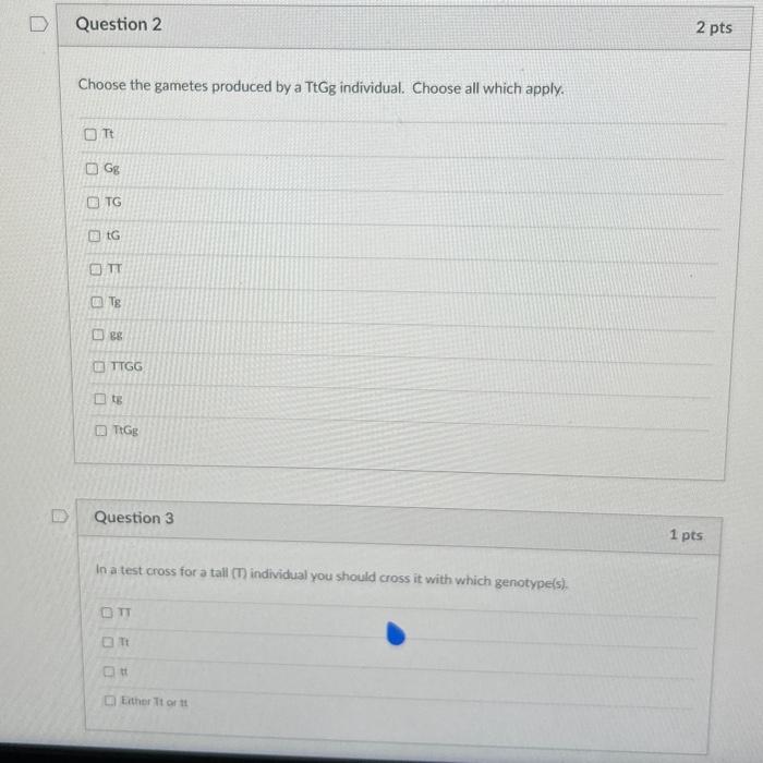 Solved Choose the gametes produced by a TtGg individual. | Chegg.com