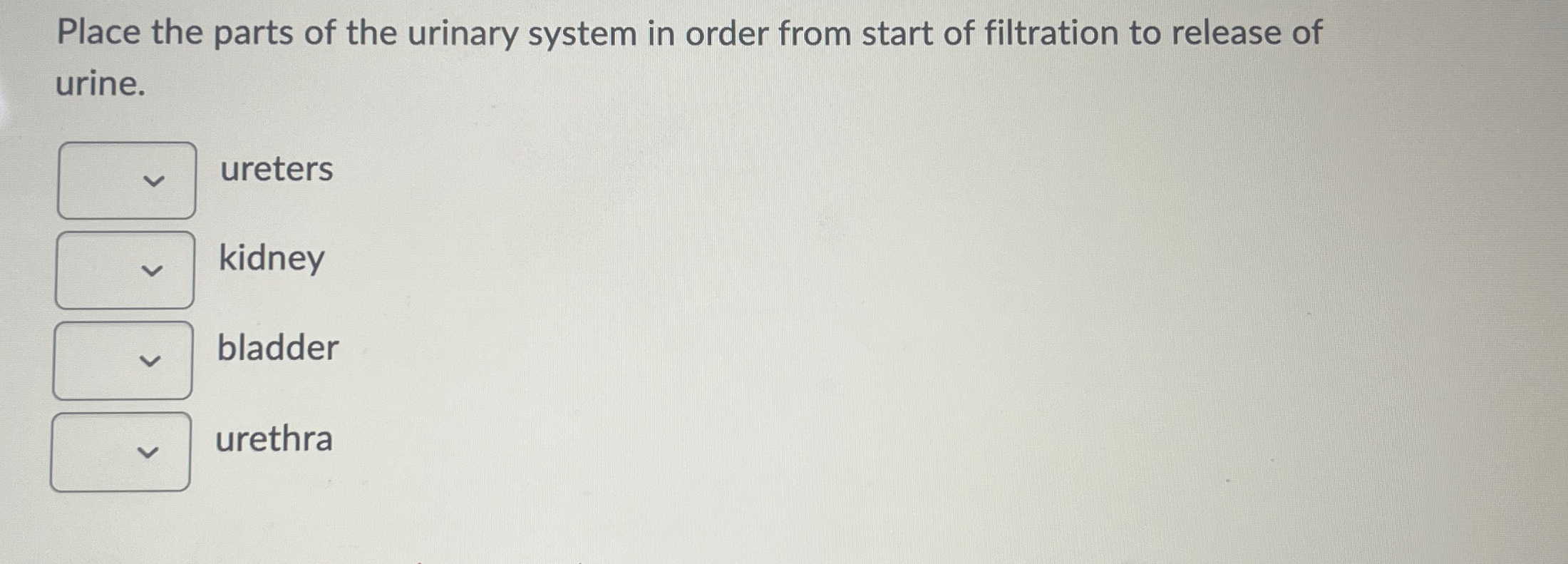 Solved Place the parts of the urinary system in order from | Chegg.com