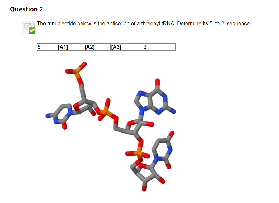 Solved CGUQuestion 2The trinucleotide below is the anticodon | Chegg.com