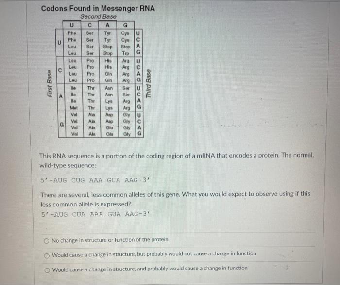 Solved Ser Stop Codons Found in Messenger RNA Second Base U | Chegg.com