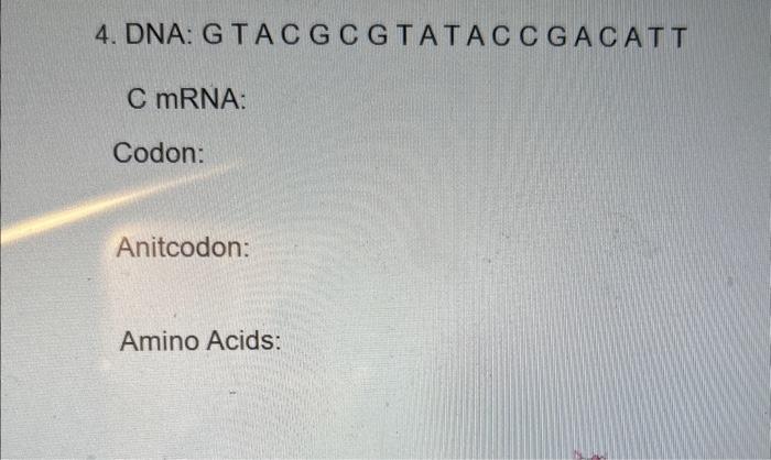 Solved 4. DNA: GTACGC GTATACCGACATT C mRNA: Codon: | Chegg.com