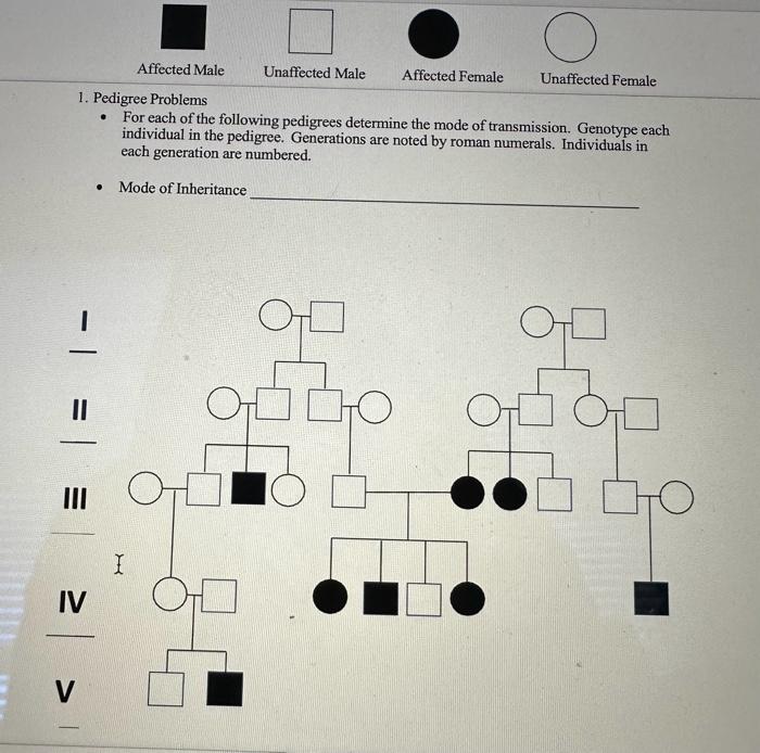 Solved 1. Pedigree Problems - For each of the following | Chegg.com