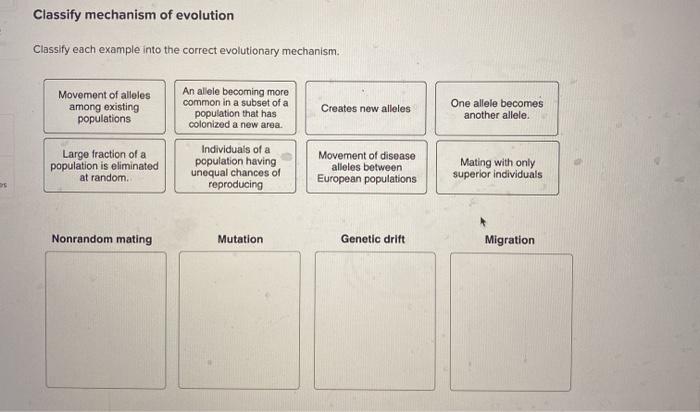 Solved Classify mechanism of evolution Classify each example | Chegg.com Solved Classify mechanism of evolution Classify each example | Chegg.com