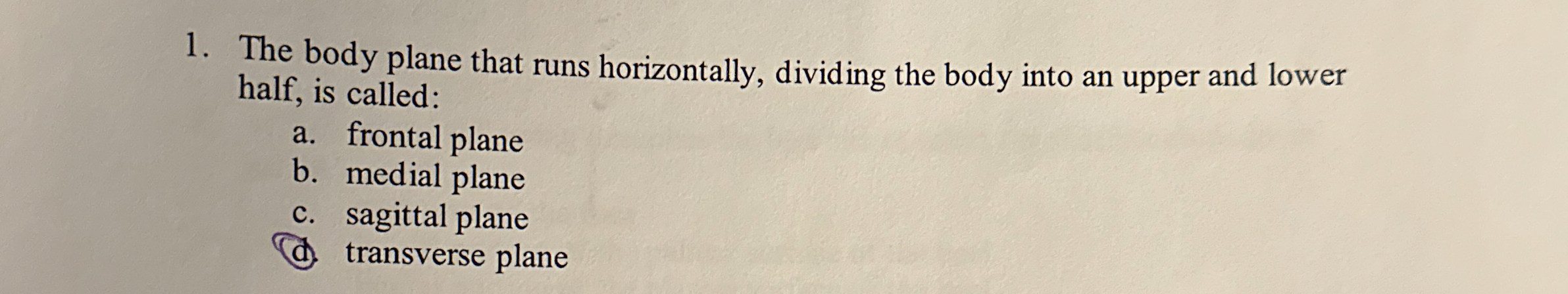 High Quality SOLUTION The body plane that runs horizontally, dividing ...