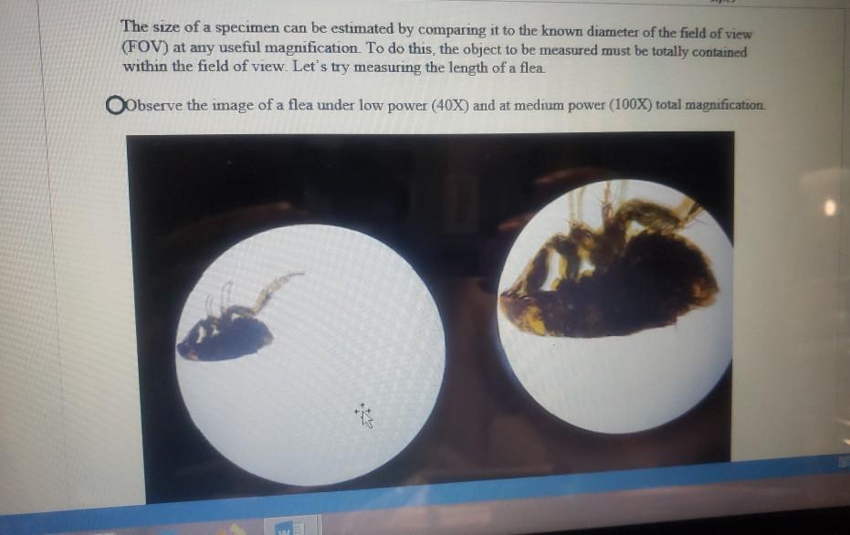 Solved 2. Using the same total magnifications from the table | Chegg.com