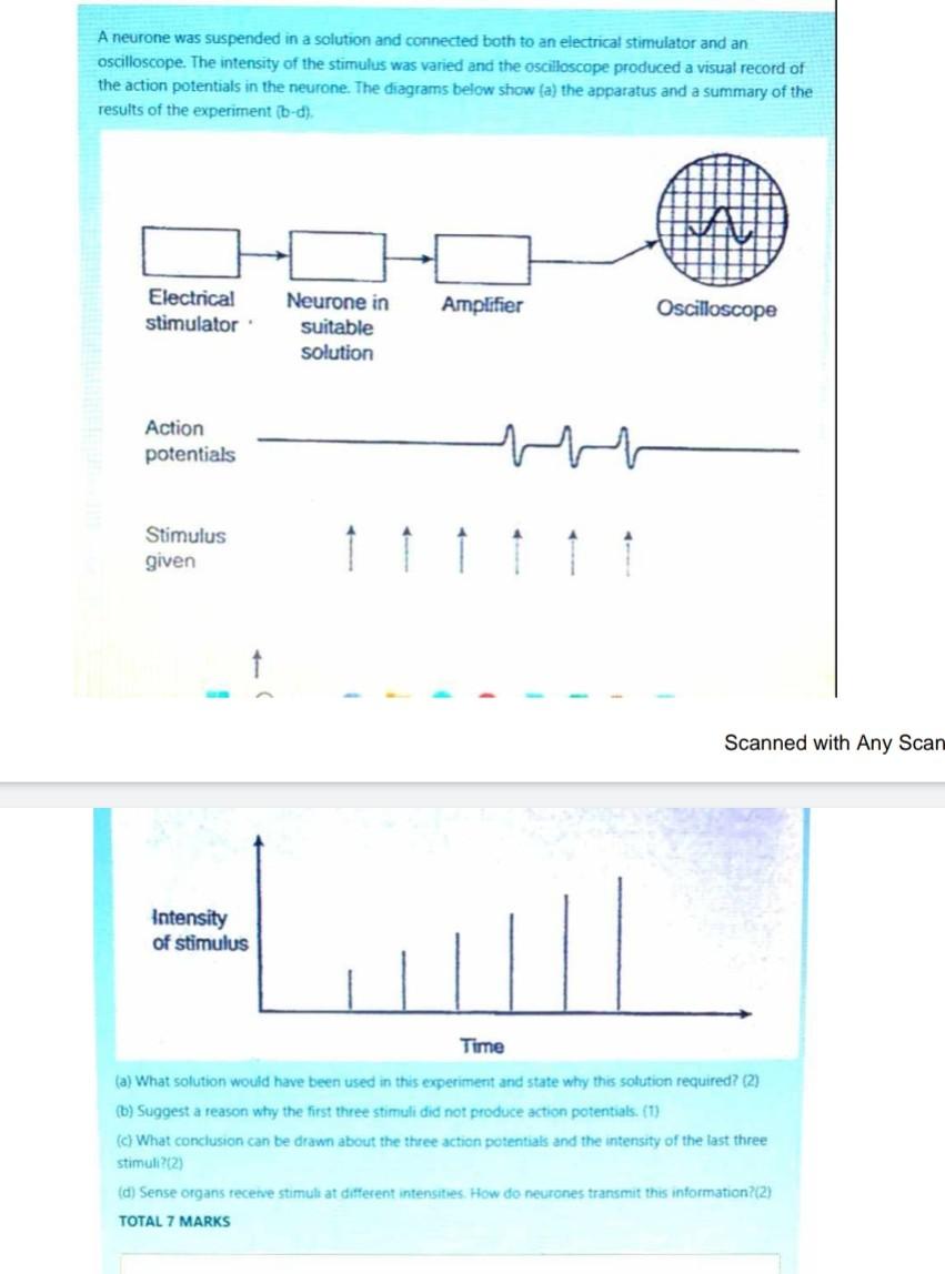 Solved A neurone was suspended in a solution and connected | Chegg.com