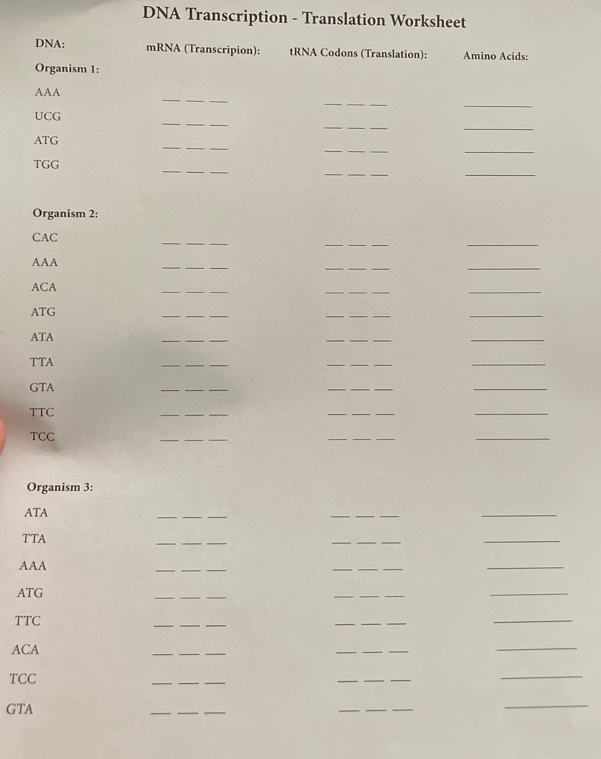 Solved DNA Transcription - ﻿Translation | Chegg.com