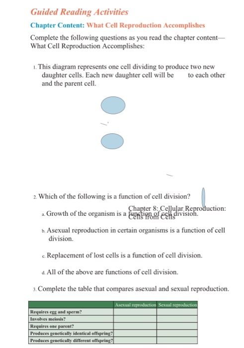 Solved Guided Reading Activities Chapter Content: What Cell | Chegg.com