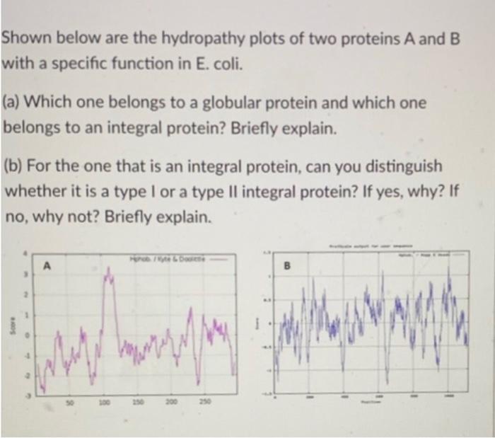 Solved Shown below are the hydropathy plots of two proteins | Chegg.com