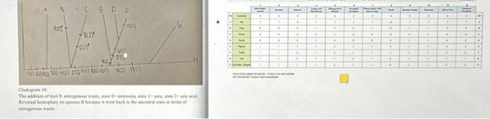 Solved hand draw step by step cladograms for this matrix, | Chegg.com