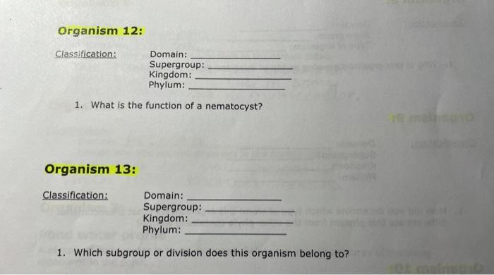 Solved File Notes Organism 12 Organism was observed off the | Chegg.com