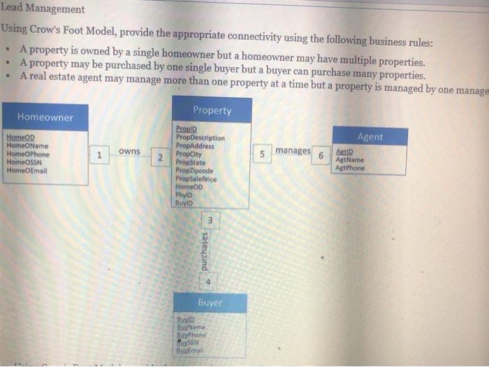 Solved Lead Management Using Crow's Foot Model, provide the | Chegg.com