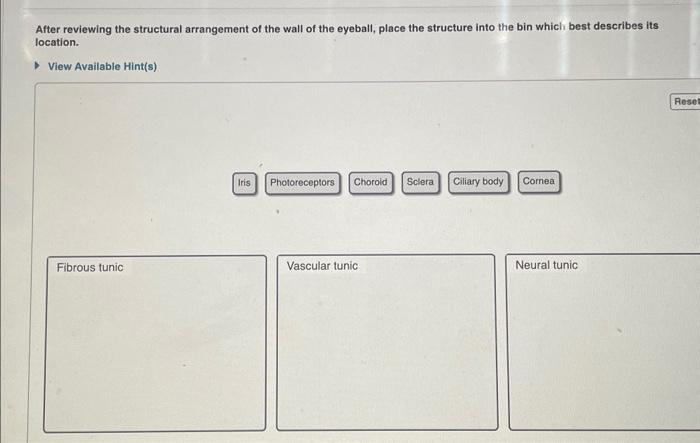 Solved After reviewing the structural arrangement of the | Chegg.com