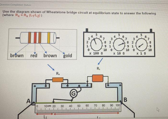 Solved Description Instructions Color Coding Color Figure | Chegg.com
