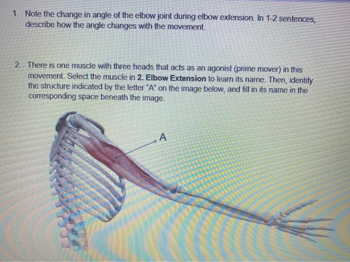 Solved 1. Note the change in angle of the elbow joint during | Chegg.com