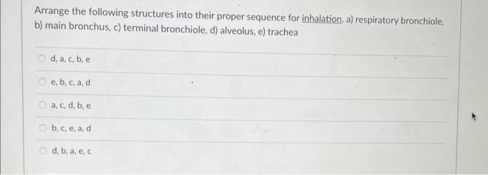 Solved Arrange the following structures into their proper | Chegg.com