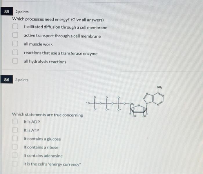 Solved Classify the energetics of converting amino acids to | Chegg.com
