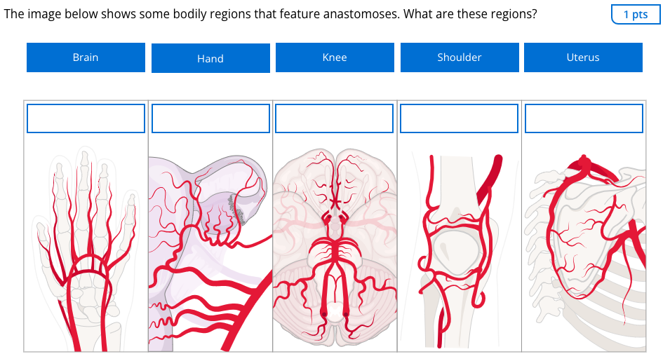 Solved The image below shows some bodily regions that | Chegg.com