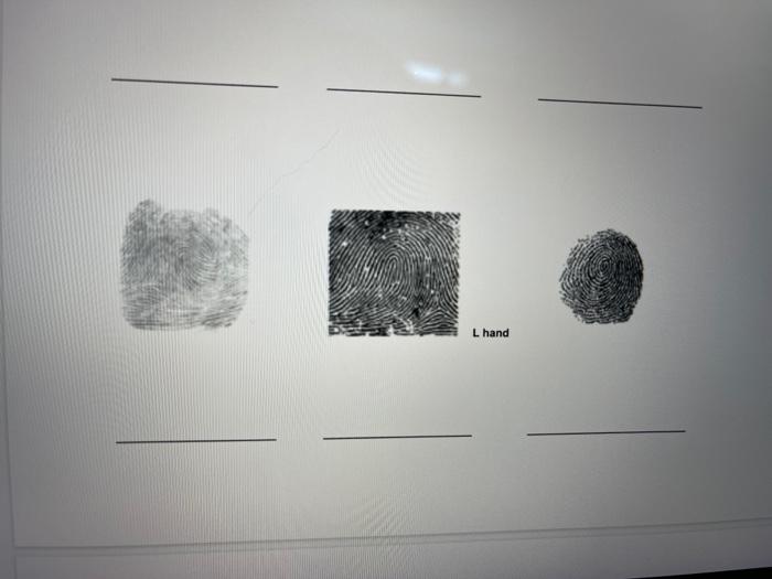 Solved L hand L hand Fingerprints must be Identified! Try | Chegg.com