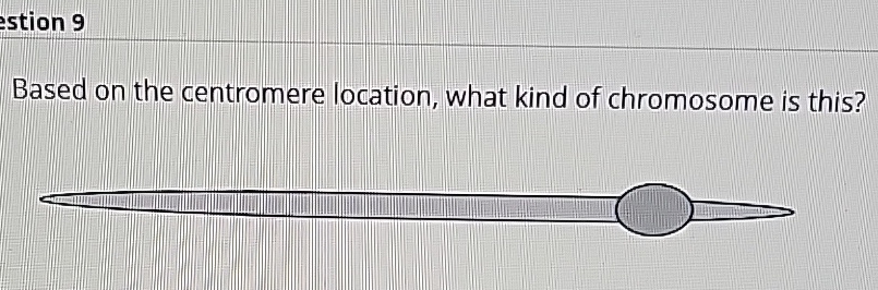 Solved Based on the centromere location, what kind of | Chegg.com