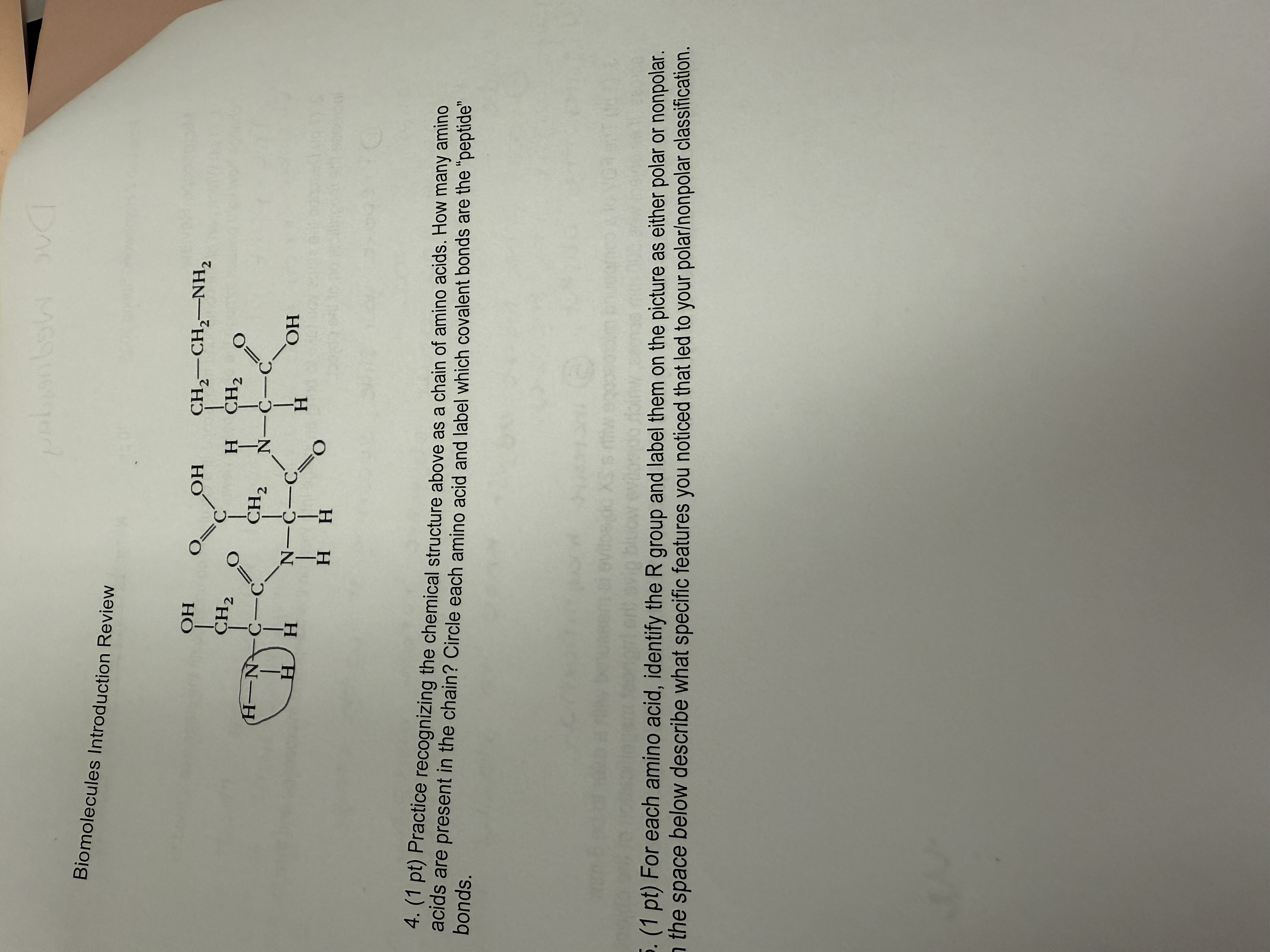 Solved Biomolecules Introduction Review4. (1 ﻿pt) ﻿Practice | Chegg.com