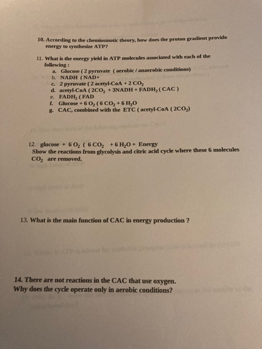 Solved 10. According to the chemiosmotic theory, how does | Chegg.com