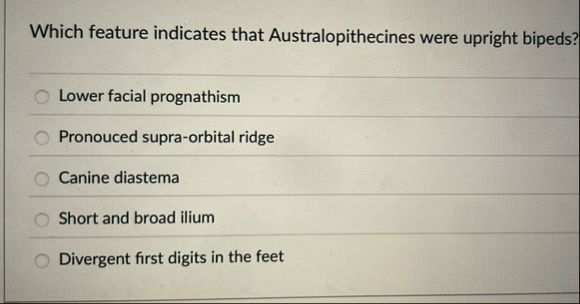 Solved Which feature indicates that Australopithecines were | Chegg.com