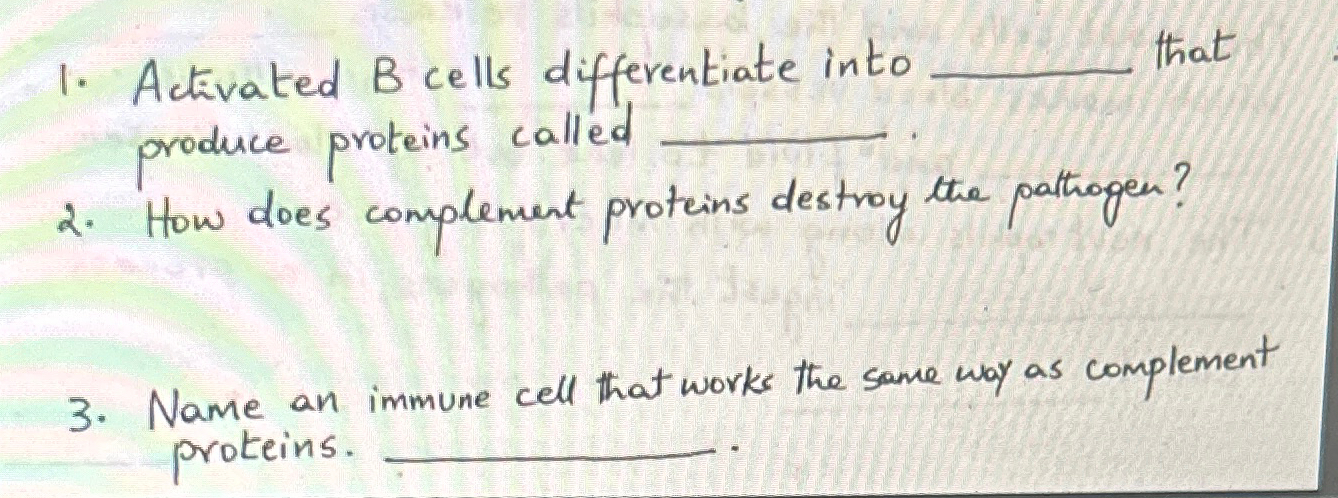 Solved Activated B cells differentiate into ﻿that produce | Chegg.com