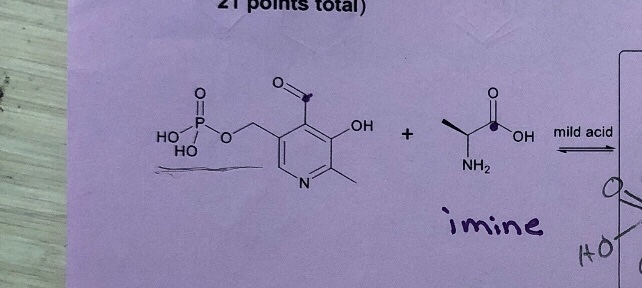 Solved 21 points total) O=0 он + HO 7 HO Y OH mild acid NH2 | Chegg.com