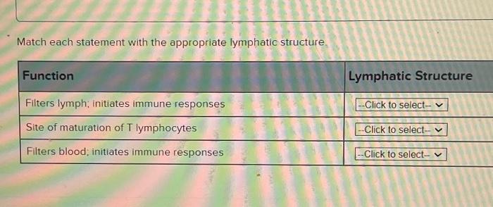 Solved Match each statement with the appropriate lymphatic | Chegg.com