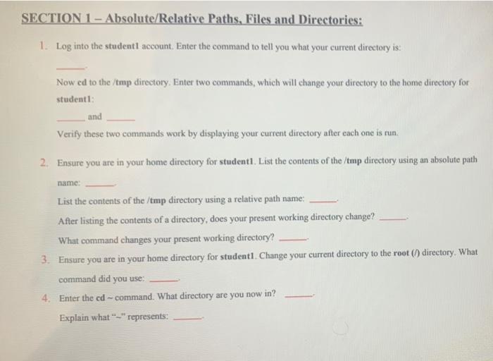 Solved SECTION 1 - Absolute/Relative Paths, Files and | Chegg.com