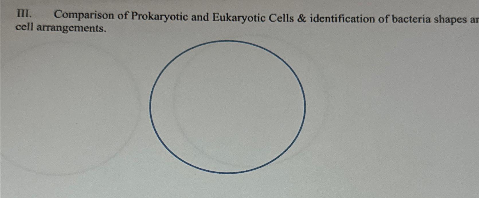 Solved III. Comparison of Prokaryotic and Eukaryotic Cells & | Chegg.com