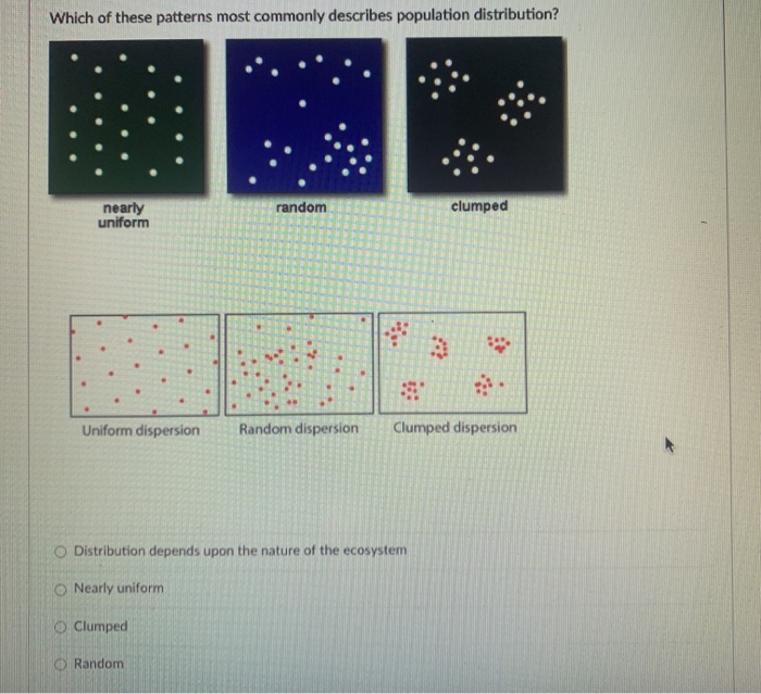 Solved Which Of These Patterns Most Commonly Describes Chegg