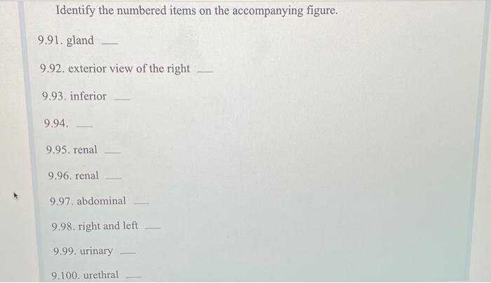 Solved Identify the numbered items on the accompanying | Chegg.com