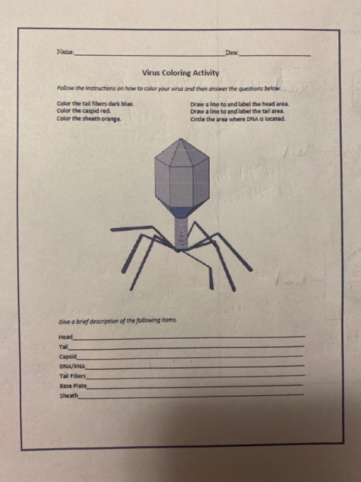 Solved Nam Date Virus Coloring Activity Follow the | Chegg.com