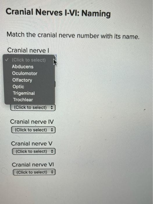 Solved Cranial Nerves I-VI: Naming Match the cranial nerve | Chegg.com