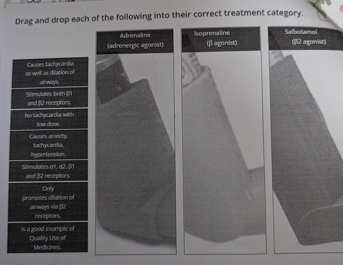 Solved Drag and drop each of the following into their | Chegg.com