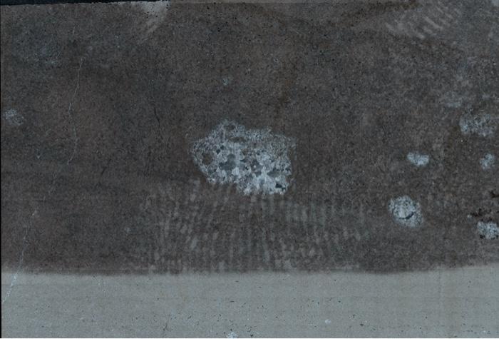 Solved please provide interpretation about this thin section | Chegg.com Solved please provide interpretation about this thin section | Chegg.com