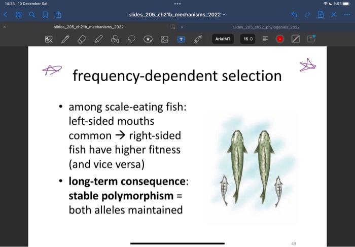 Solved Frequency Dependent Selection Fitness Of A